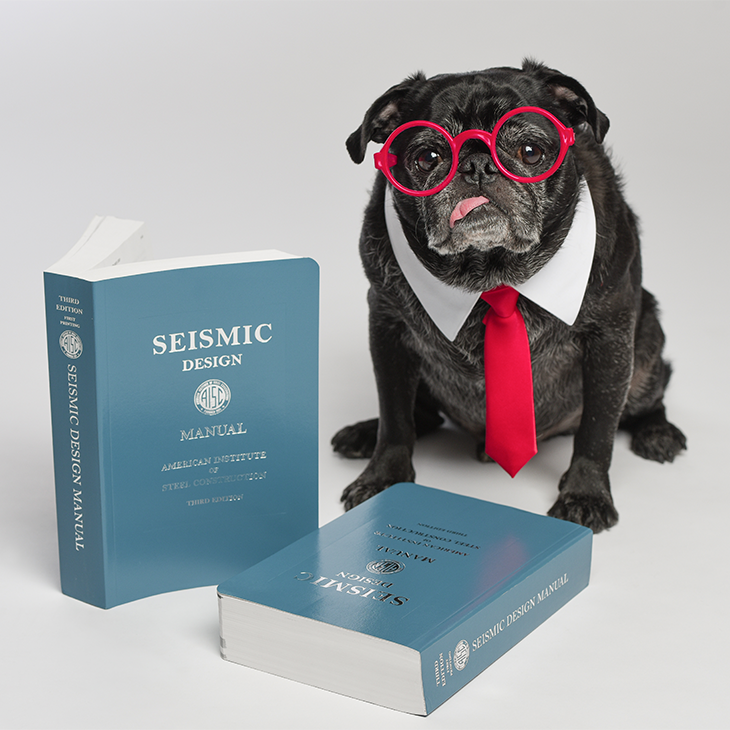 AISC Home | American Institute of Steel Construction